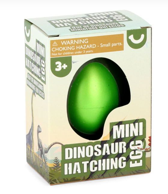Mini Dinosaur Hatching Egg – Curiosity Corner at Scott Family Amazeum