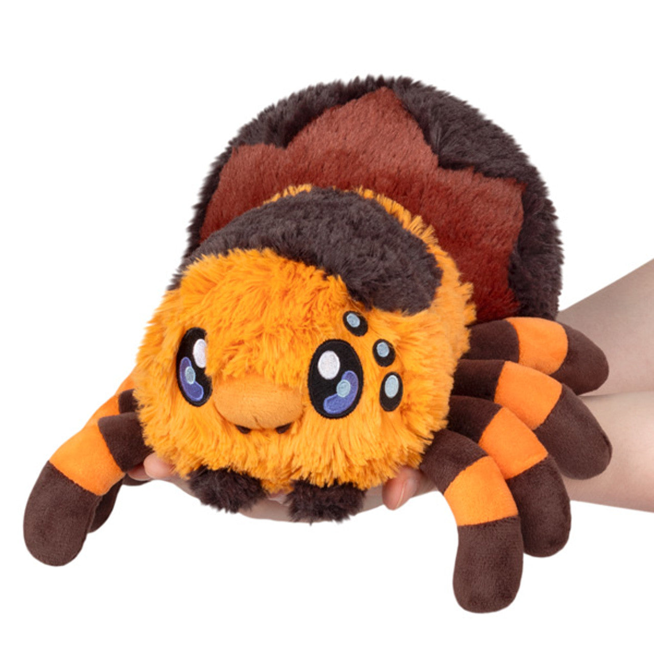 snugglemi-snackers-tarantula – Curiosity Corner at Scott Family Amazeum