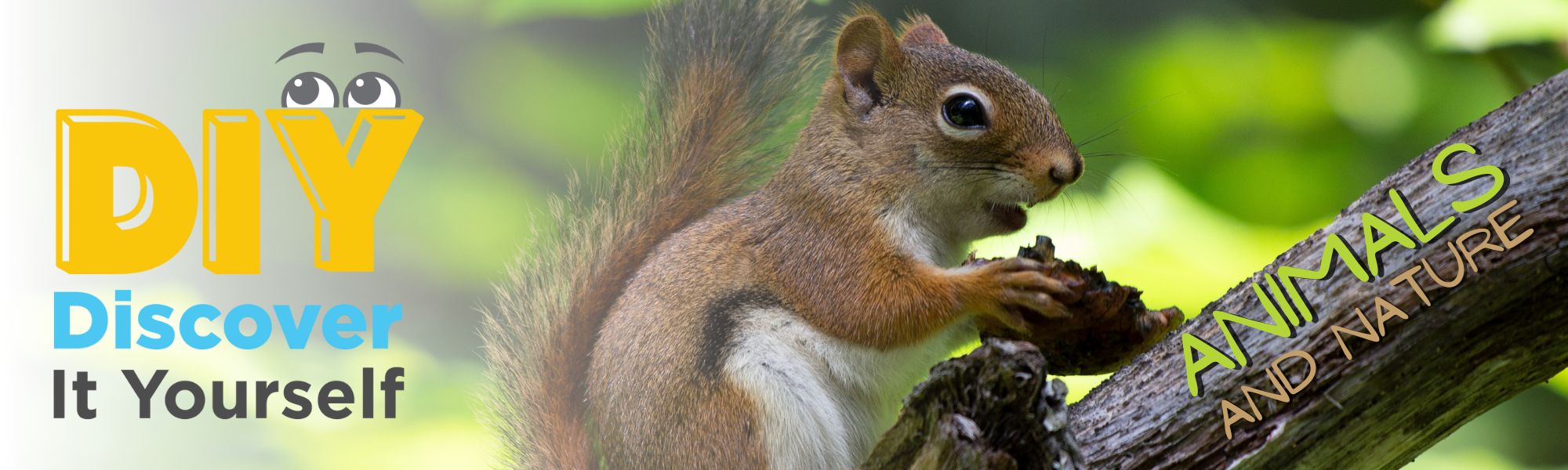 Enter the Natural Habitats of the Animal Kingdom This Summer ...