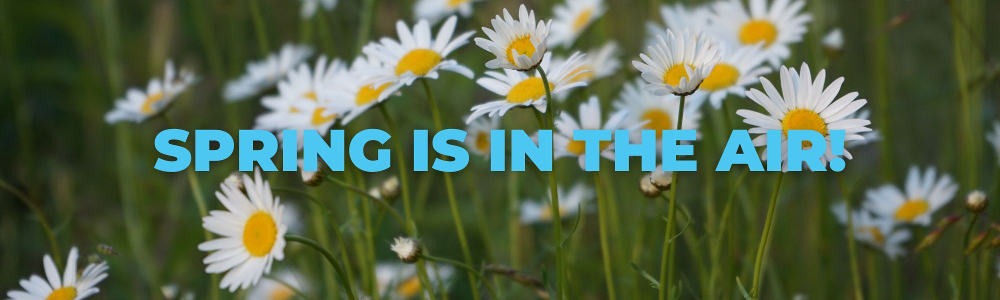 Explore the Outdoors and More this Springtime – Curiosity Corner at ...