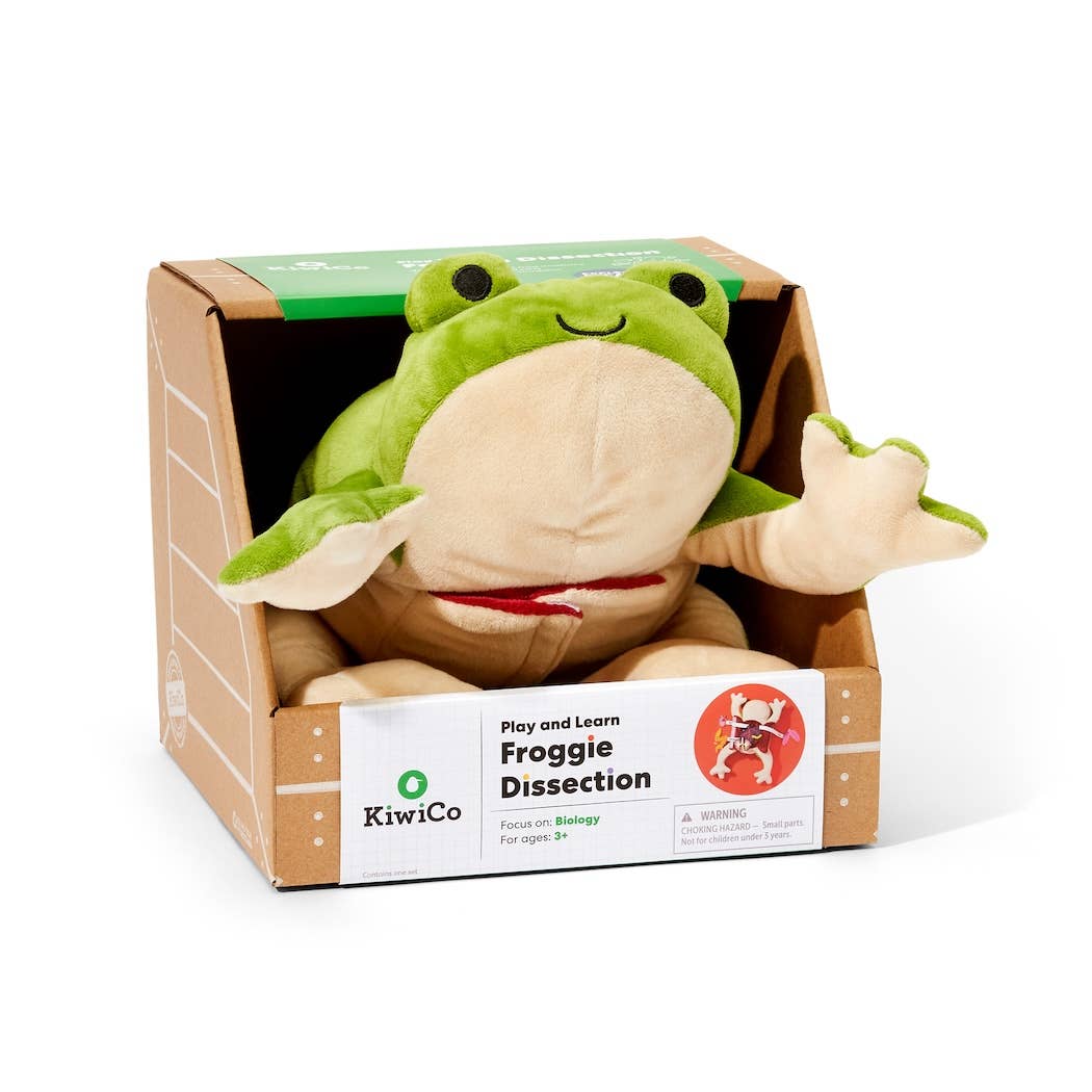 Froggie Dissection Lab, Anatomy Learning Toy for Kids – Curiosity ...