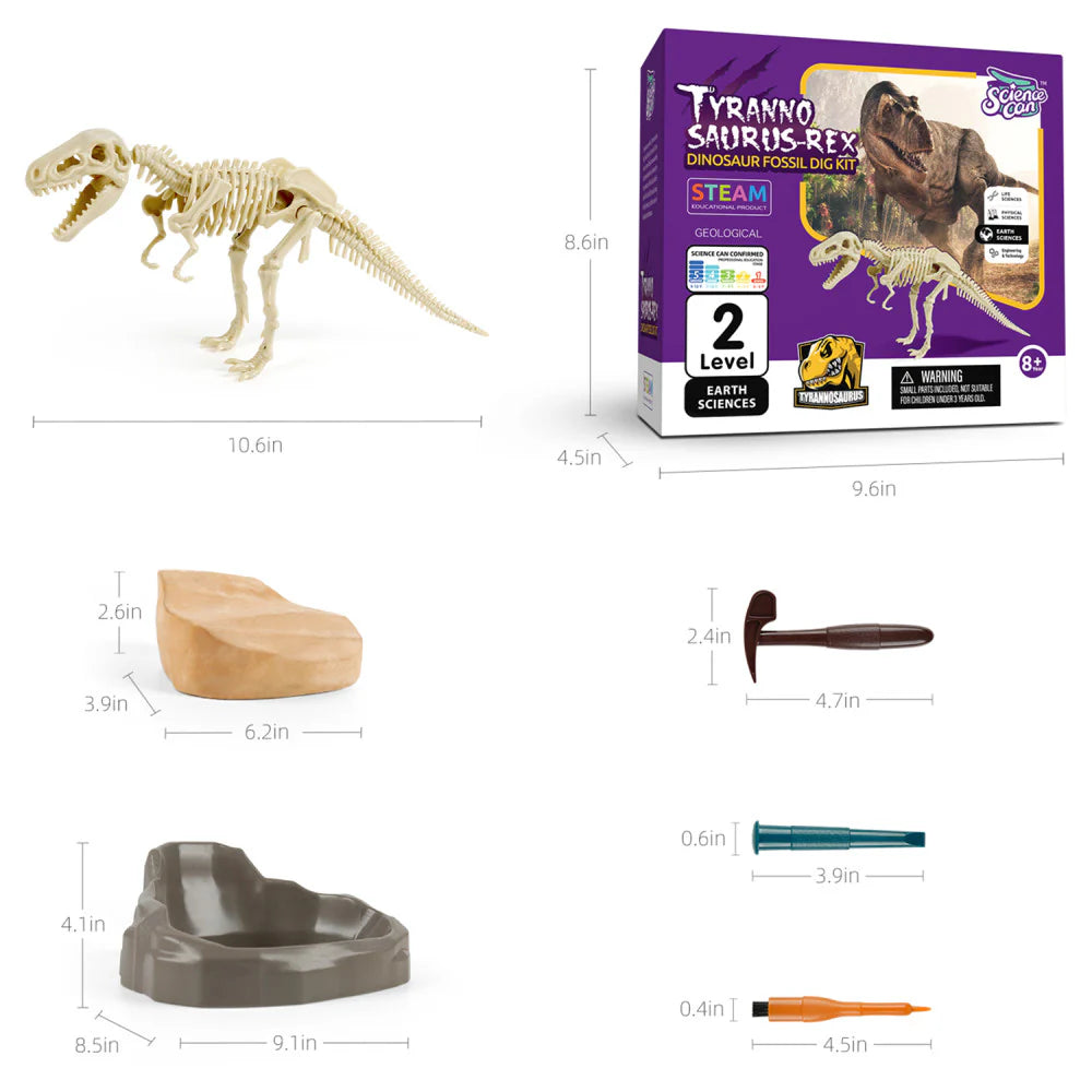 T-Rex Dig Kit – Curiosity Corner at Scott Family Amazeum