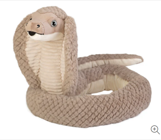 Luxury Snakes Cobra – Curiosity Corner at Scott Family Amazeum
