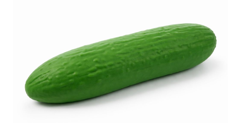 The Big Squij Cucumber – Curiosity Corner at Scott Family Amazeum