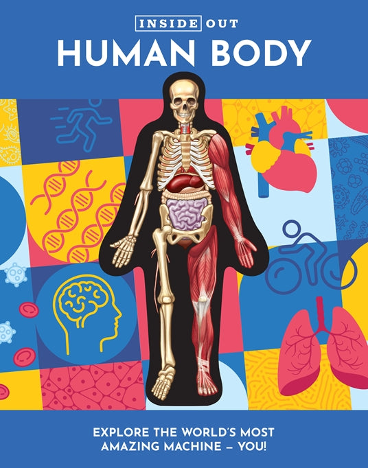 Inside Out Human Body – Curiosity Corner at Scott Family Amazeum
