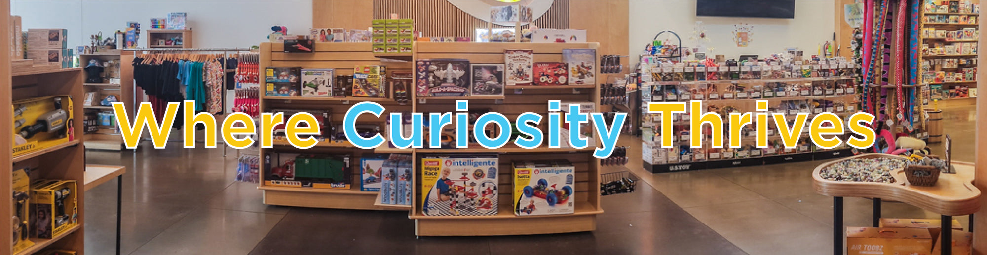 Curiosity Corner, Museum Store – Curiosity Corner at Scott Family Amazeum